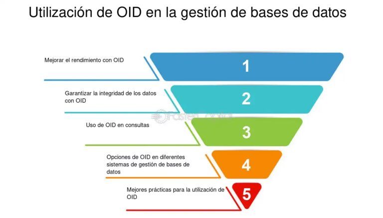 OID: Identificadores Únicos En Datos Y Protocolos | MySQL YA