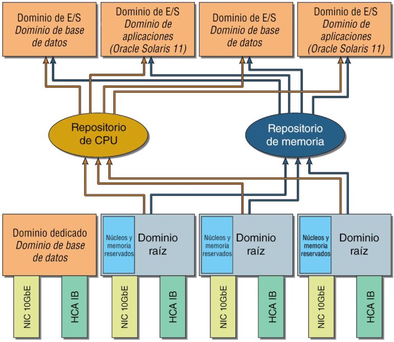 Dominios En Bases De Datos: La Guía Esencial | MySQL YA